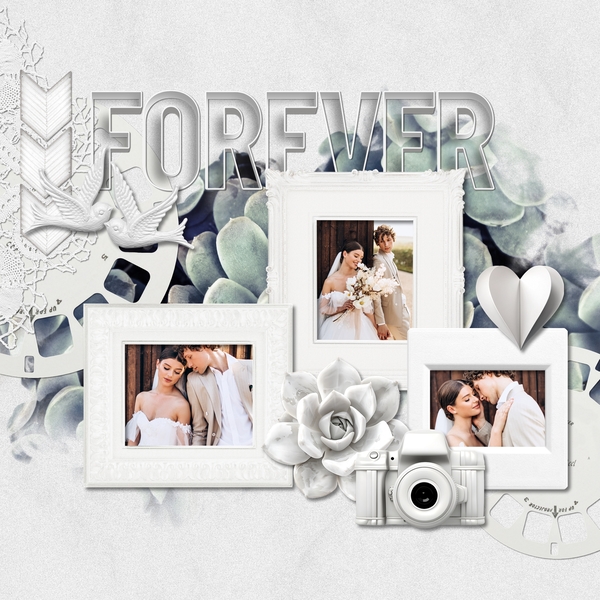 Curated Colors White Bundle | Digital Art