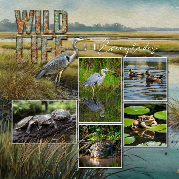 Wetlands Flora & Fauna Mega Bundle | Digital Art