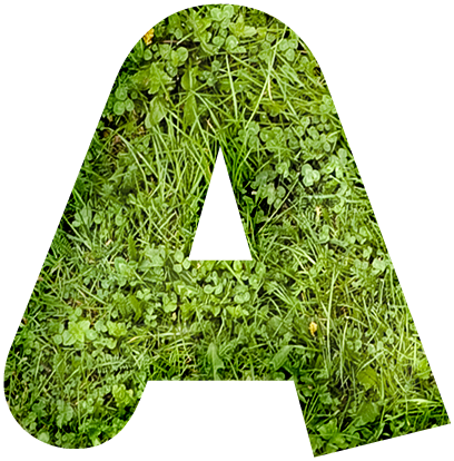 Spring Grass Alpha Bundle | Digital Art