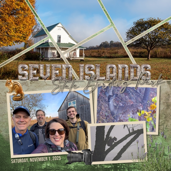 Enhanced Photo Collage Strips 3 & 4 | Digital Art