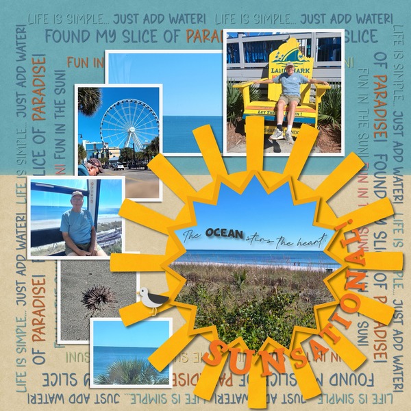 Summer Silhouette Enhanced Photo Clusters | Digital Art